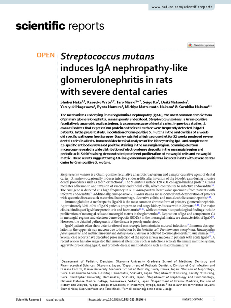 Streptococcus Mutans: Induces Iga Nephropathy Like Glomerulonephritis ...