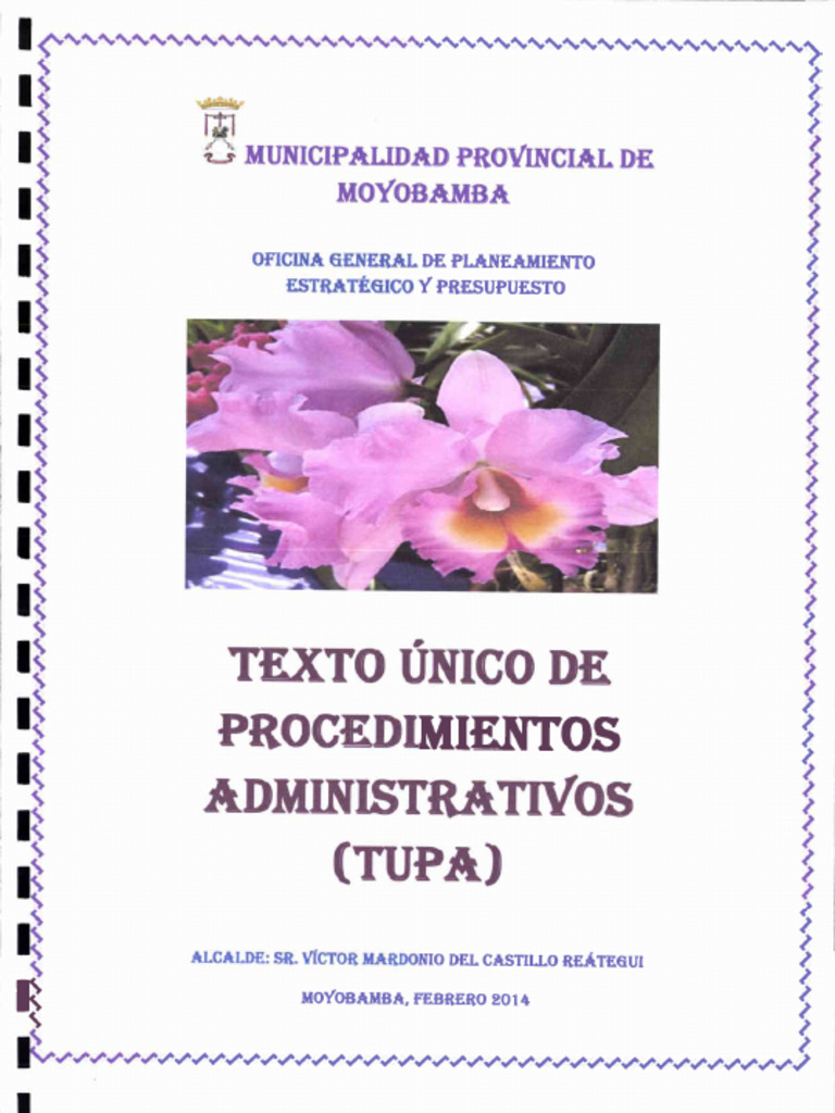 Tupa 2014 | PDF
