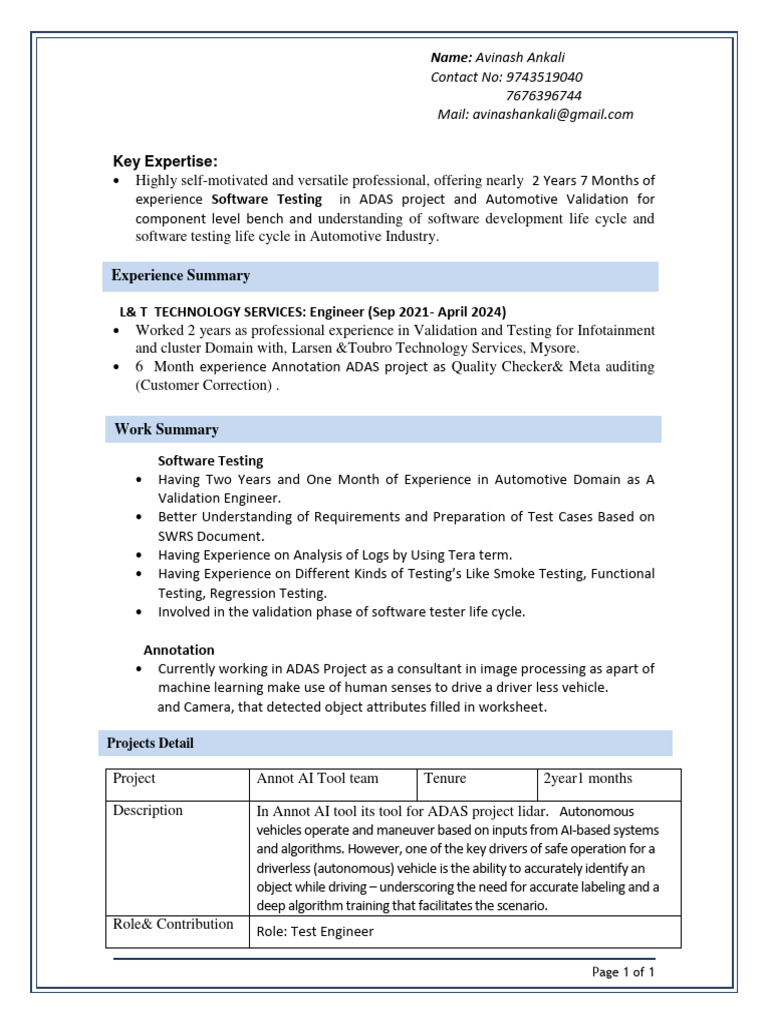 Cv Testing Avinash Pdf Software Testing Artificial Intelligence