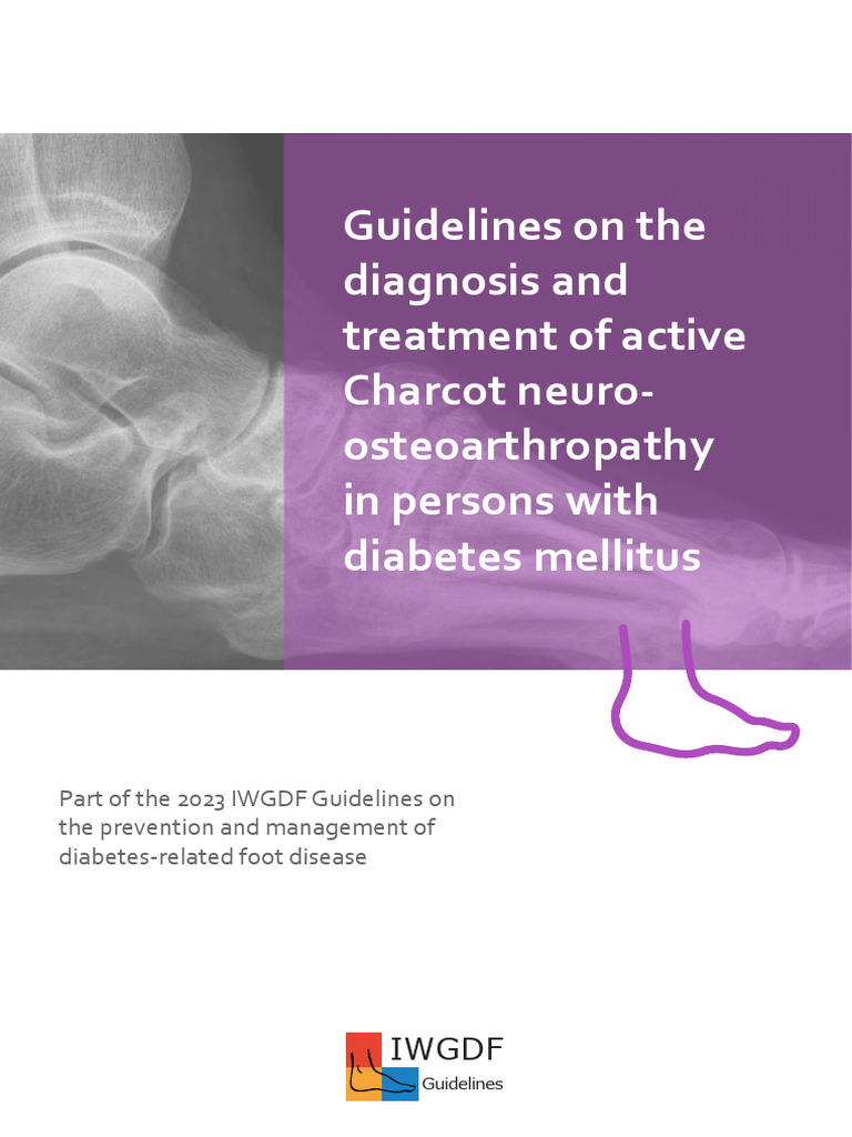 IWGDF 2023 08 Charcot Guideline | PDF | Medical Imaging | Peripheral ...