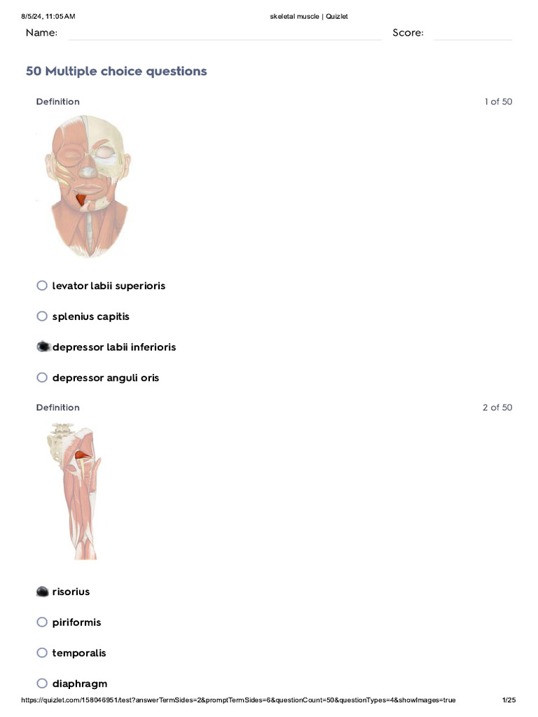 Skeletal Muscle - Quizlet 50Q-Eiman Yuesof | PDF