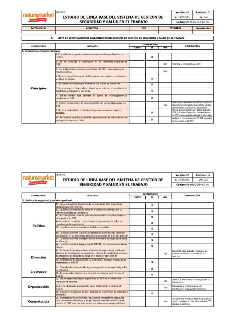 Estudio de Línea Base SG-SST-CCH 2022-2023 | PDF | Planificación ...