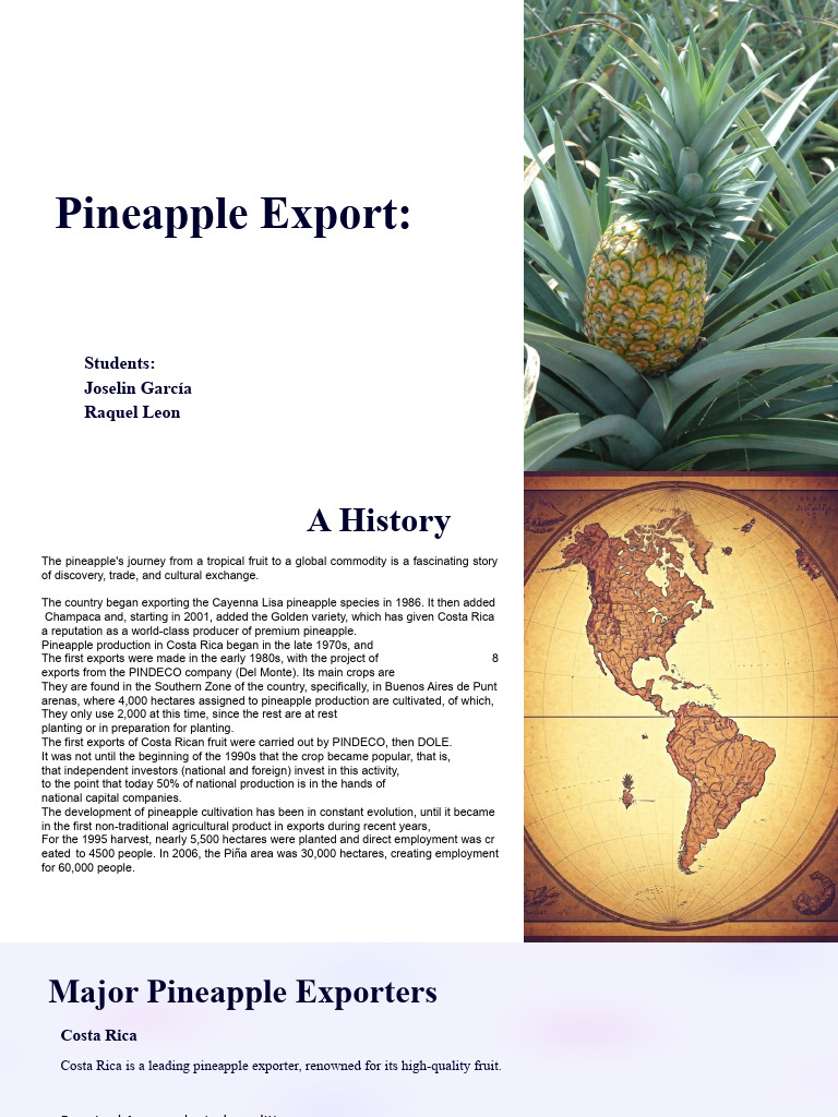 Pineapple Export A History ( | PDF | Pineapple | Agriculture