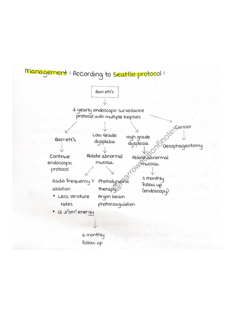Seattle Protocol | PDF