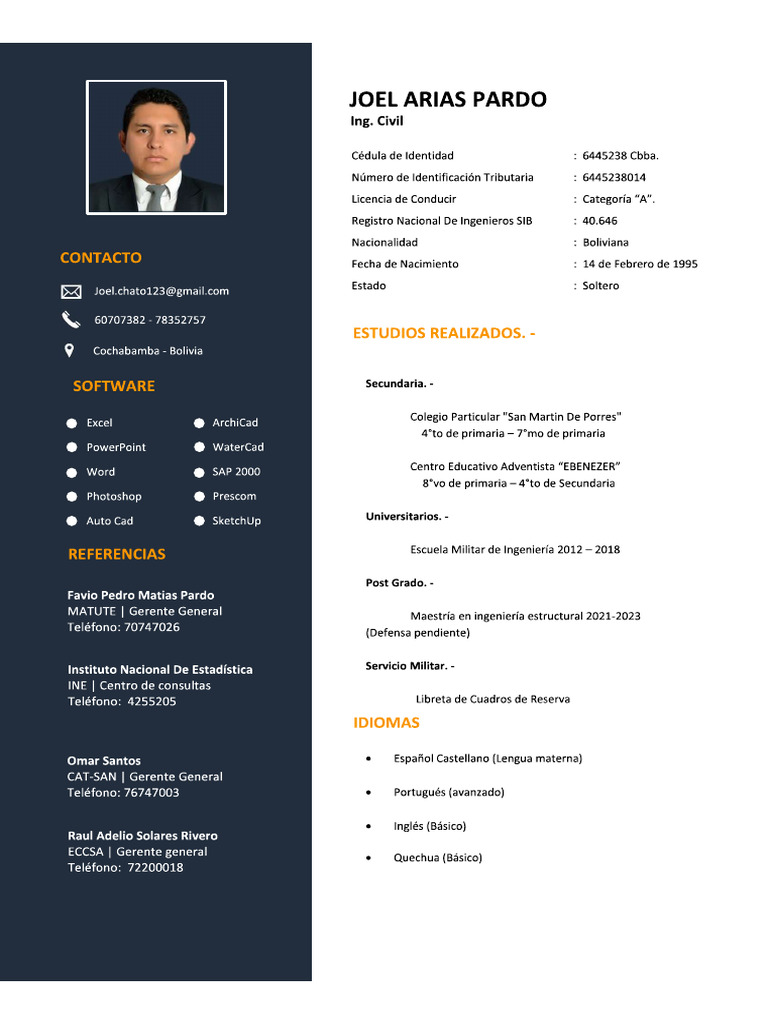 Curriculum Compilado v.3 Inicio 1 | PDF | Business | Ingeniería