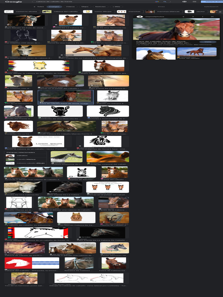 Cabeza de Caballo de Frente - Cerca de Google | PDF | Équidos | Equus (Género)