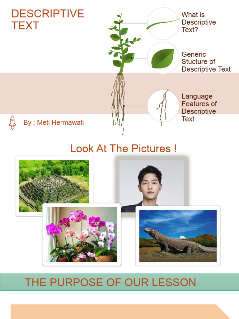 Lesson 1 - DESCRIPTIVE TEXT | PDF | Linguistic Morphology | Syntax