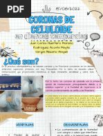 Rizólisis Dental: Proceso y Fisiología | PDF | Hueso | Inflamación