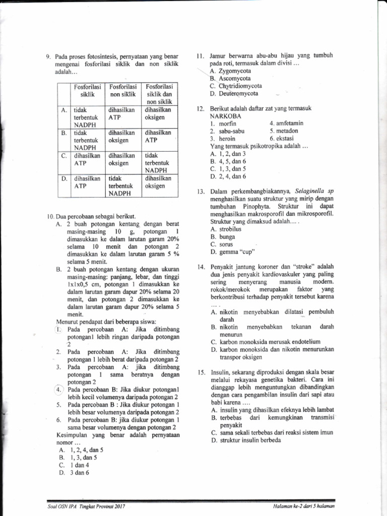 OSP 2017 IPA Page 3 | PDF
