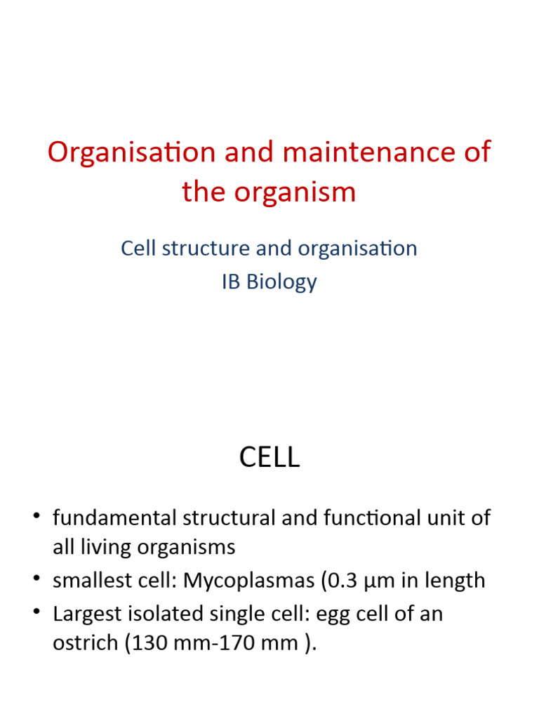 Organisation and Maintenance of The Organism | PDF | Cell (Biology) | Cell Membrane
