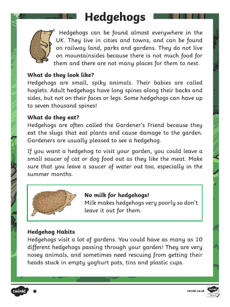 Hedgehogs Differentiated Reading Comprehension Activity | PDF
