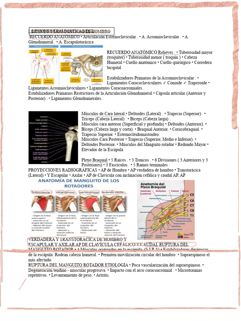 LESIONES TRAUMÁTICAS DEL HOMBRO resumen | PDF | Hombro | Extremidades (anatomía)
