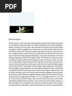 Teks Laporan Hasil Observasi Belalang Anggrek Kelompok 4 XB | PDF