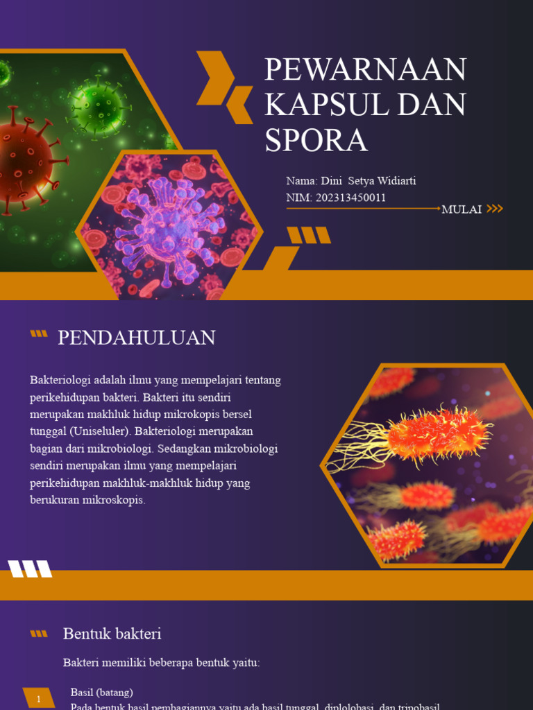 Ppt Bakteriologi Pewarnaan Spora Dan Kapsul | PDF
