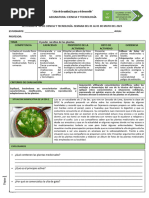 Informe 100 Plantas Medicinales Selva Peruana | PDF