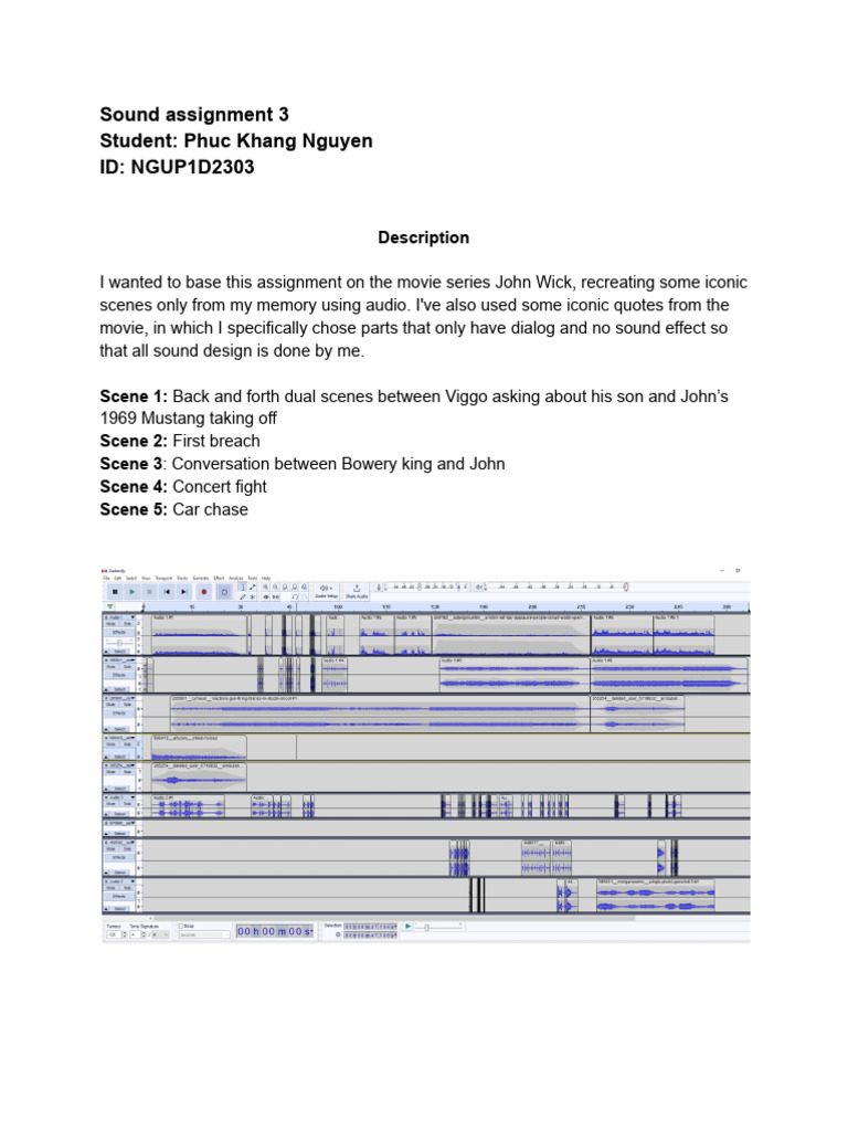 Sound Assignment 3 Description | PDF | Art