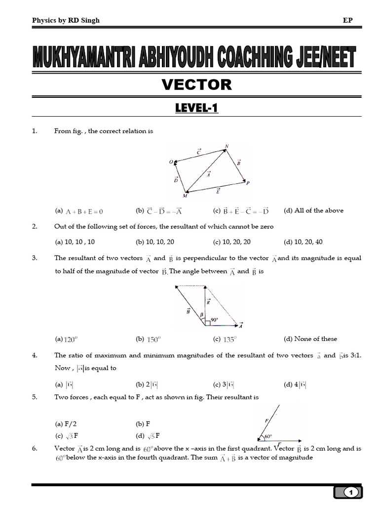 Vector DPP | PDF | Euclidean Vector | Force