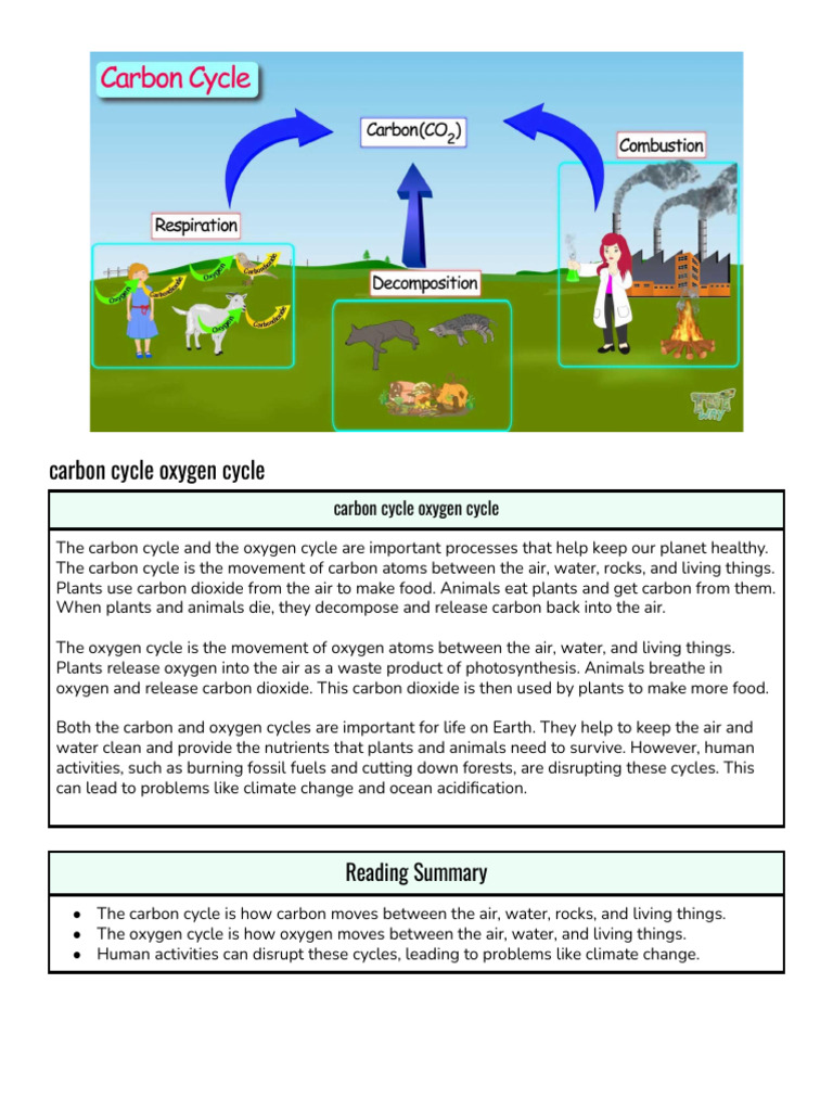 Carbon Cycle and Oxygen Cycle | PDF | Plants | Carbon Cycle