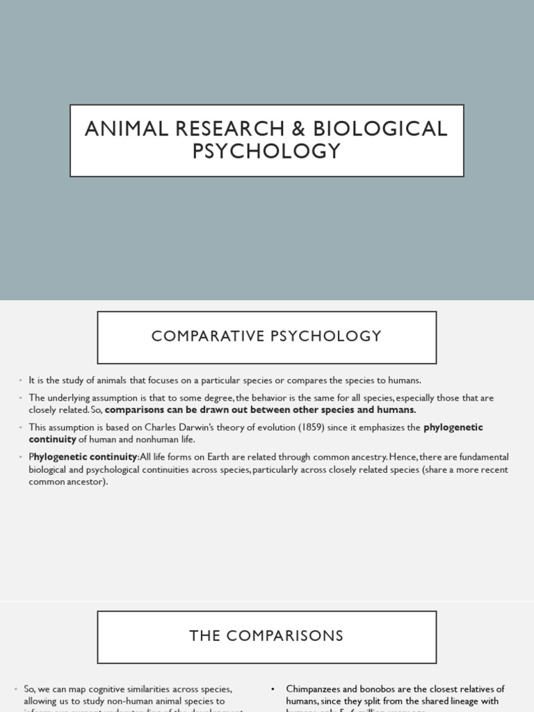 Animal Research (HL Only) | PDF | Hippocampus | Neuron