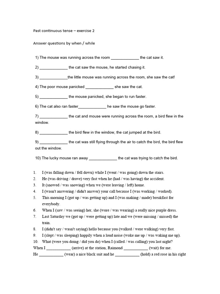 Past Continuous Tense - Exercise 2 | PDF | Language Arts & Discipline