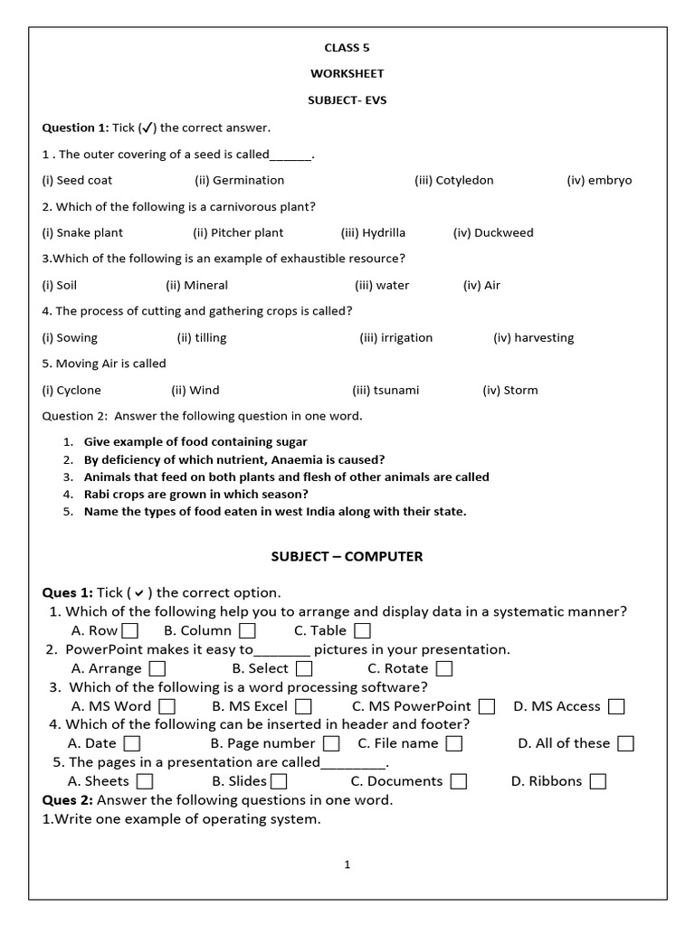 Class 5 HHW Worksheet | PDF | Seed