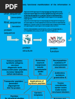 Protecting Groups | PDF | Amine | Organic Chemistry