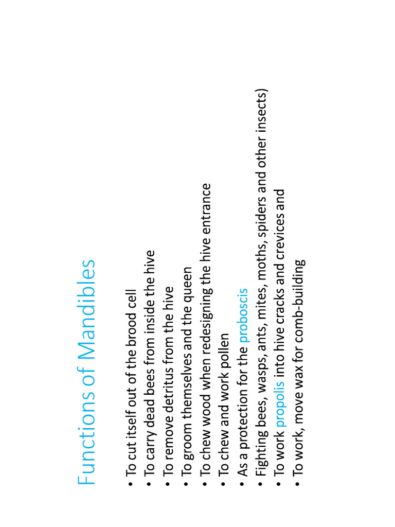 Beekeeping Part 3 Pdf Bees Insects