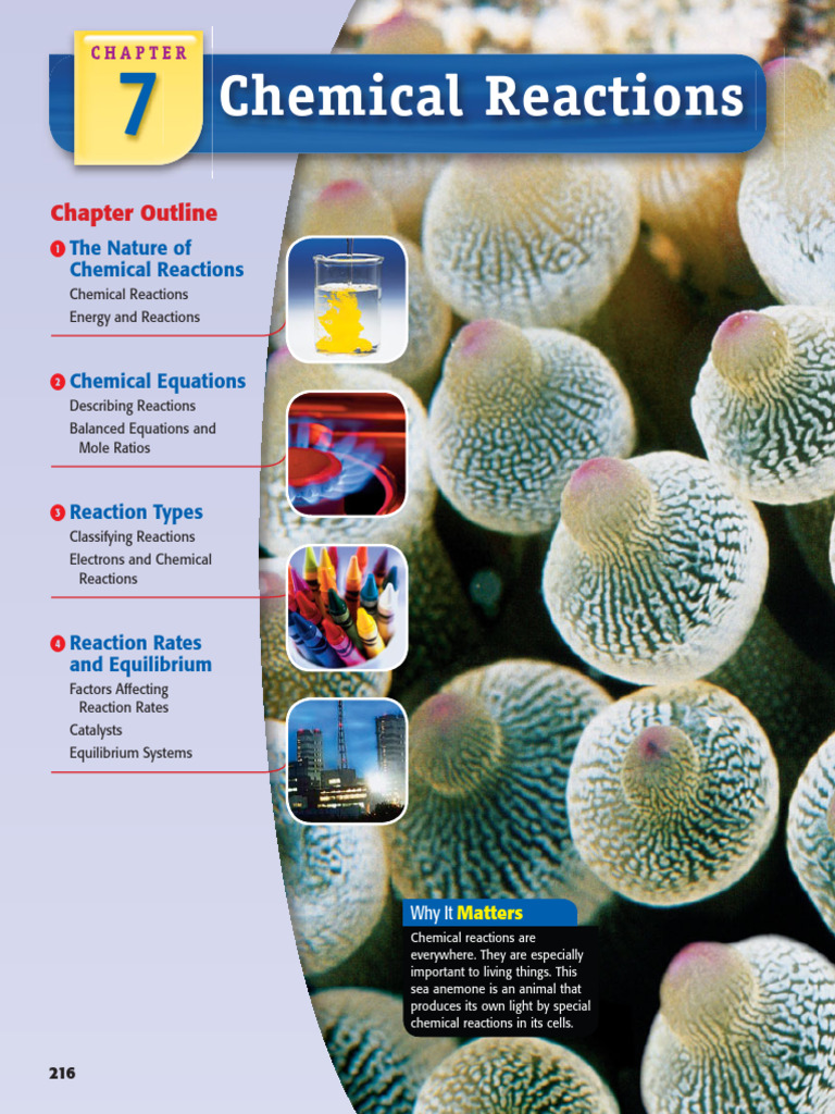 Chapter 7 | PDF | Mole (Unit) | Chemical Reactions