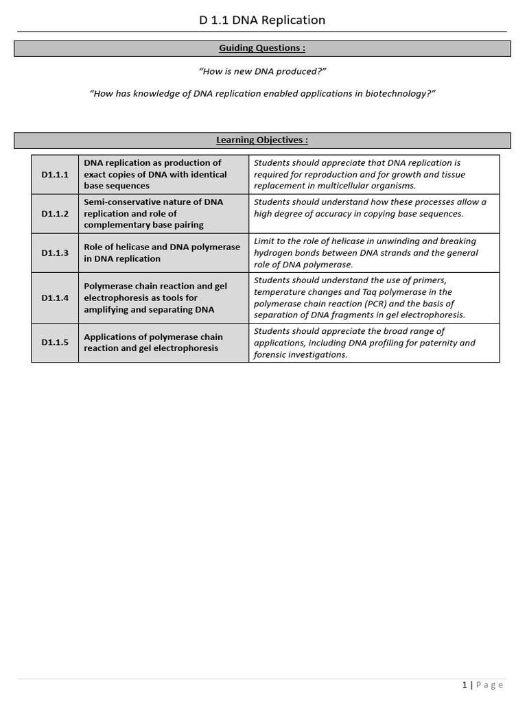 D 1 1 Sl Dna Replication Student Notes Pdf Polymerase Chain