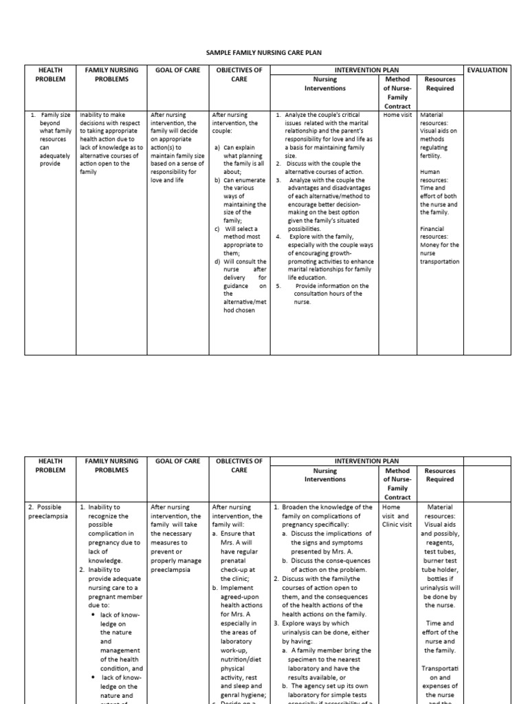 Sample Family Nursing Care Plan | PDF | Nursing | Pregnancy