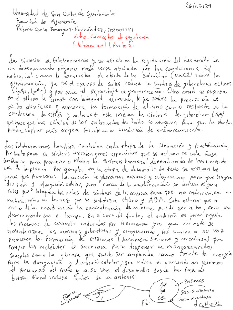 Resumen 3 - RC - Video - Roberto - Dominguez - 202005347 | PDF