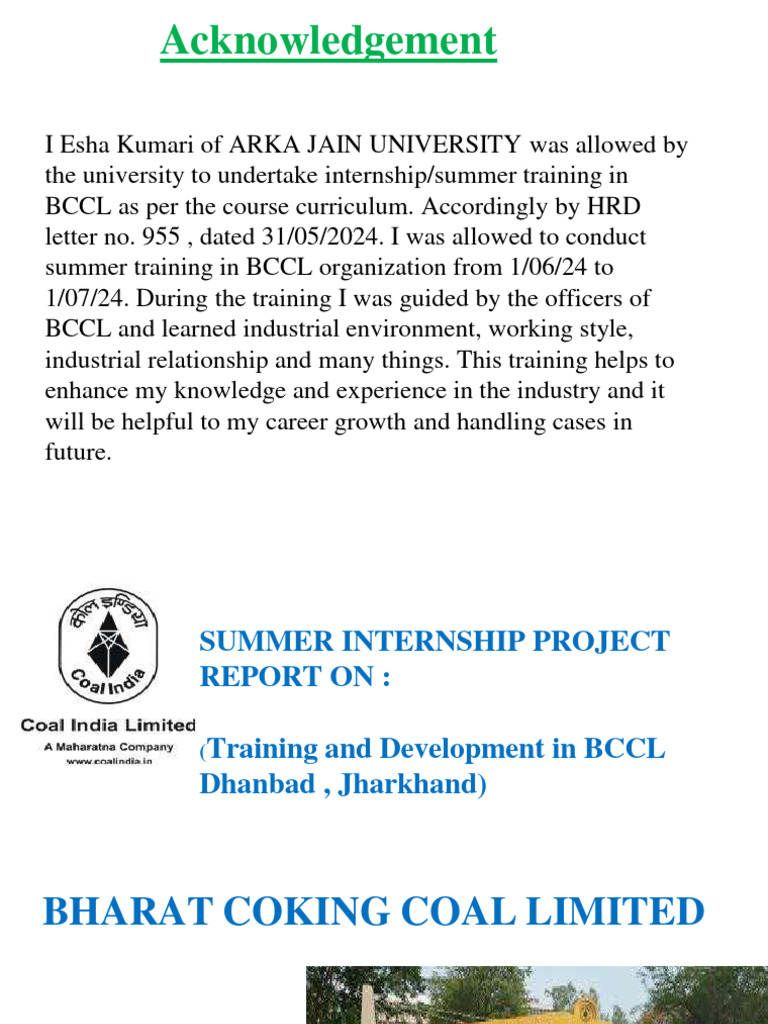 Summer Internship Project 2024 | PDF | Coal | Mining