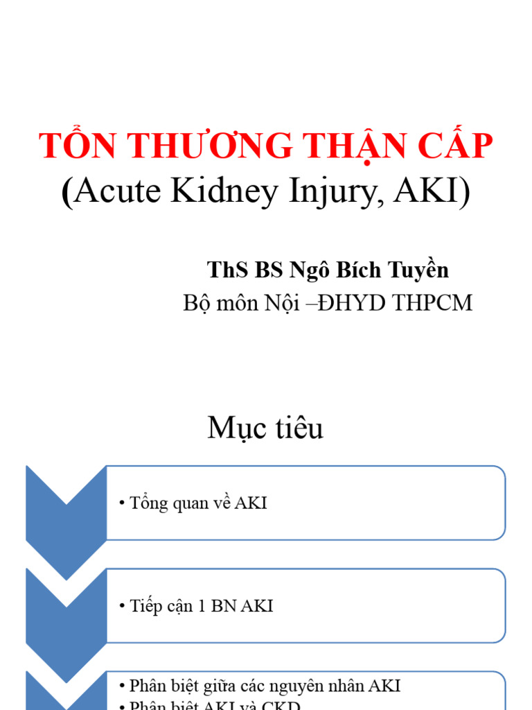 Tổn Thương Thận Cấp: (Acute Kidney Injury, AKI) | PDF