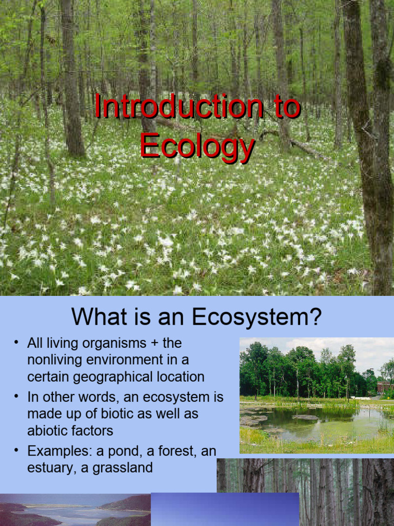 Introduction Ecosystem | PDF | Ecosystem | Food Web