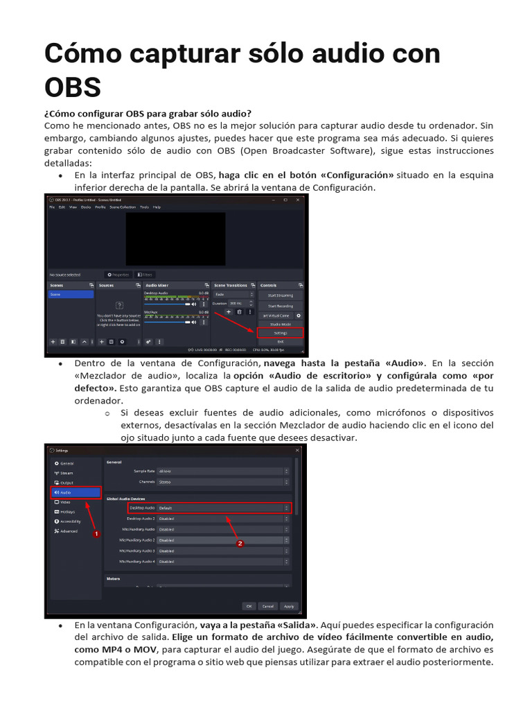 Cómo capturar sólo audio con OBS | PDF | Banda de garage | Podcast