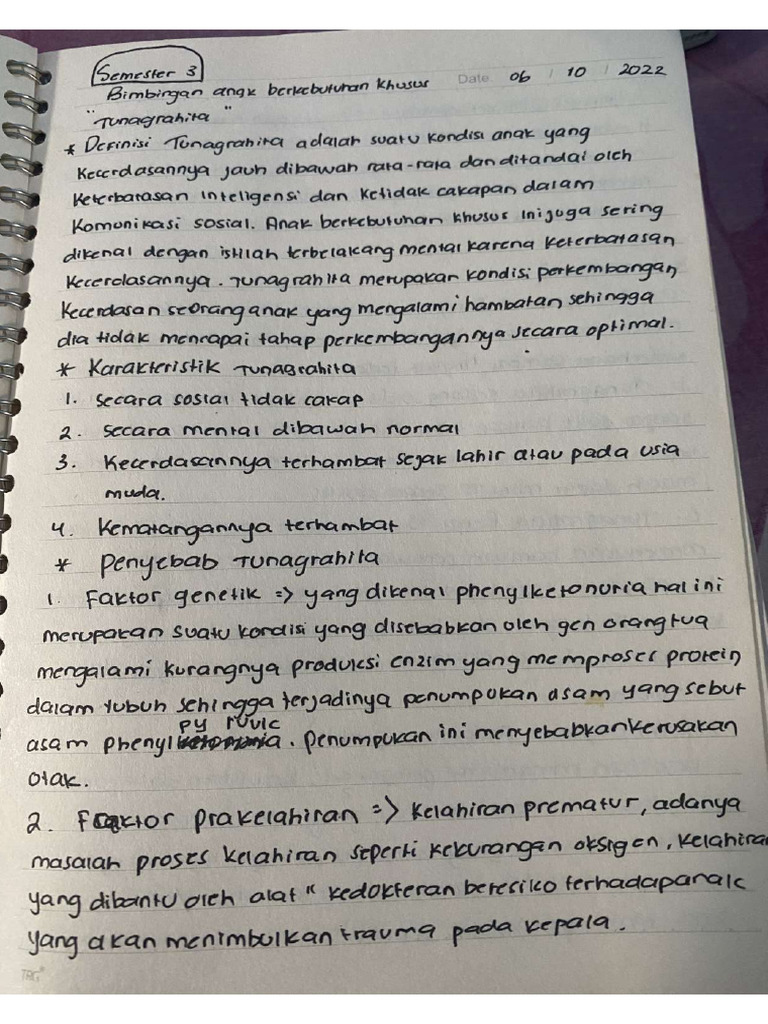 Resume Tunagrahita Resti Meilani B1 PGSD | PDF