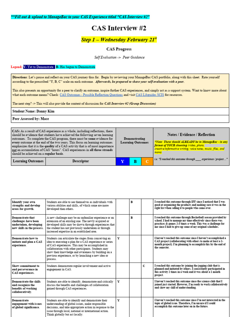 CAS Interview #2 - Step 1 - Self & Peer Eval | PDF | Experience | Learning