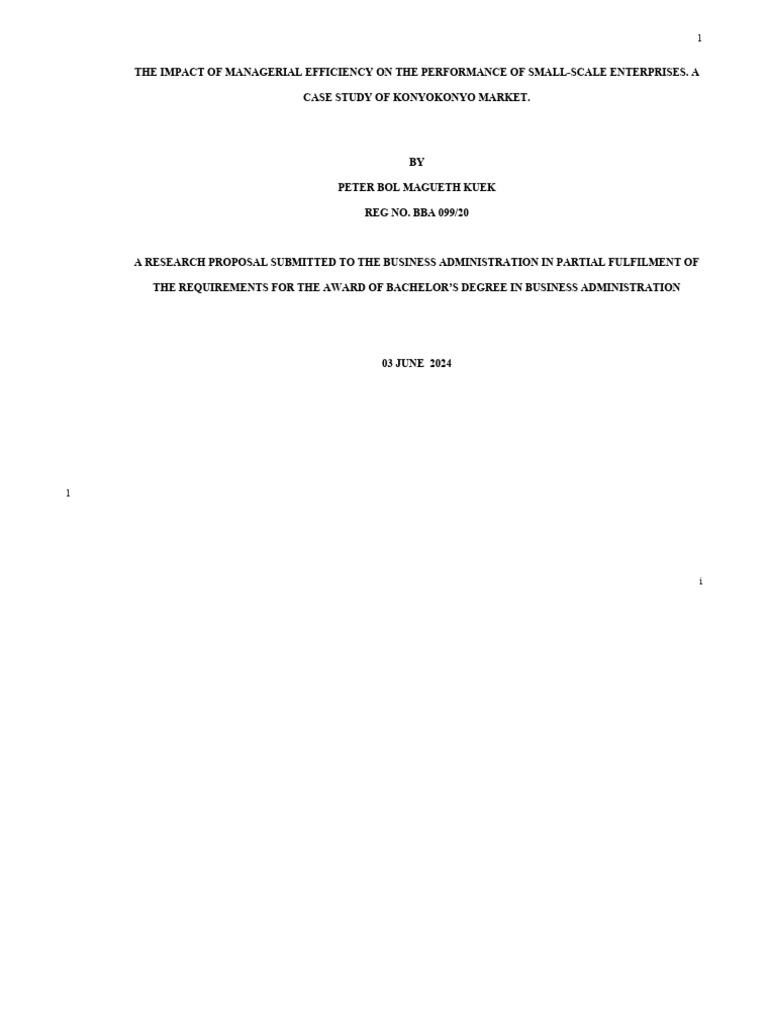 The Impact of Managerial Efficiency On The Performance Ofof Small Scale ...