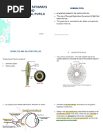 Miotics and Mydriatics | PDF | Ophthalmology | Human Eye