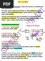Kcse 2024 Bio Pp1 Ms - Code 01 | PDF | Cellular Respiration | Flowers