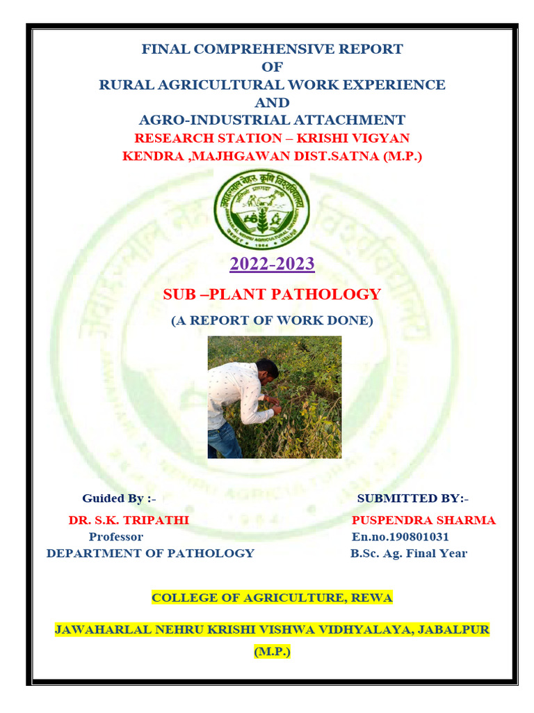 Puspendra Sharma | PDF | Food Industry | Botany