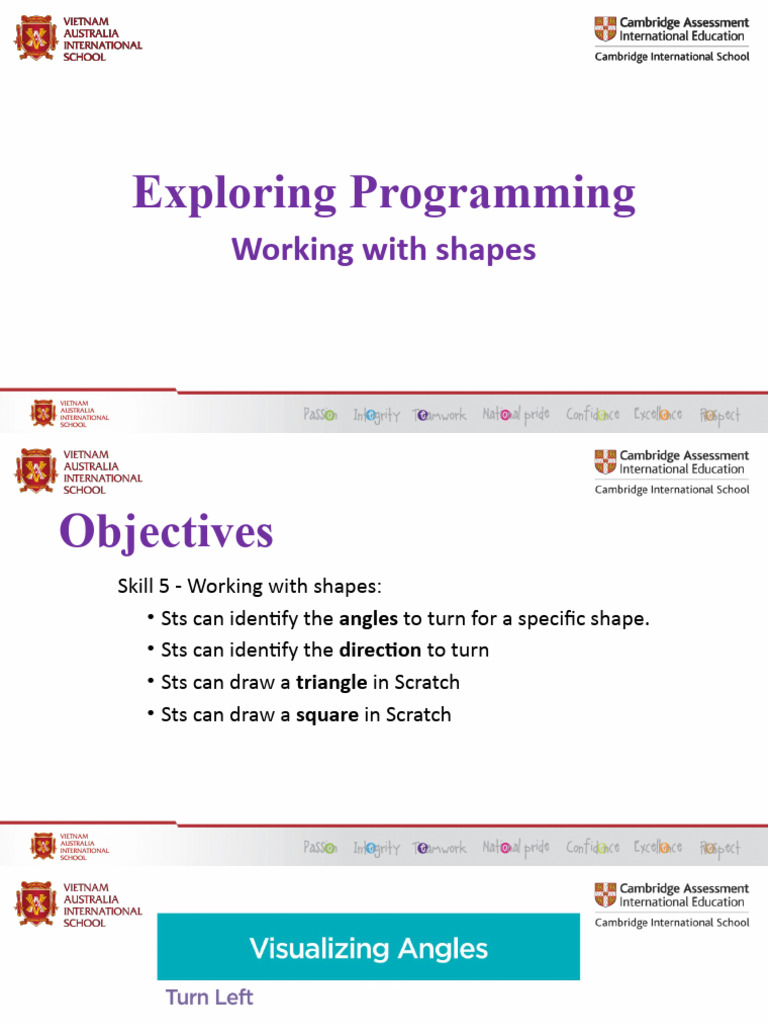 Week 5 - Working With Shapes | PDF