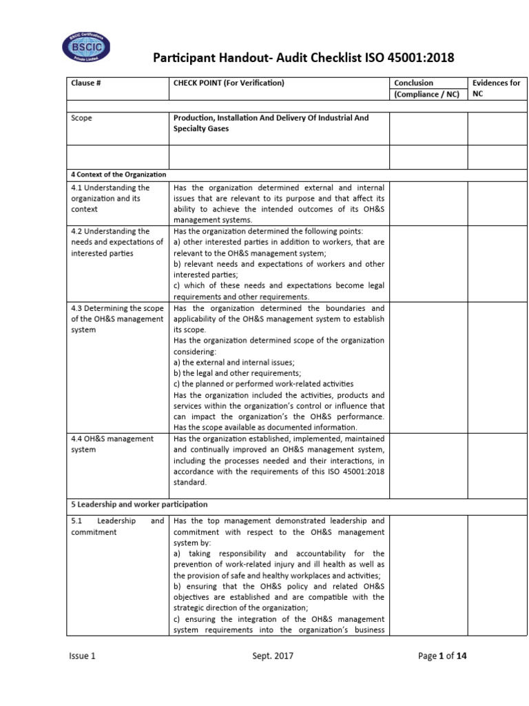 Participant Handout - Audit Checklist | PDF | Audit | Occupational ...