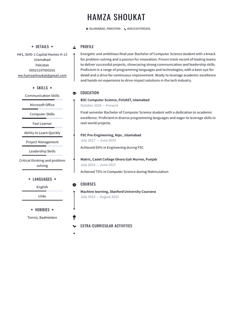 Hamza Shoukat | PDF | Art