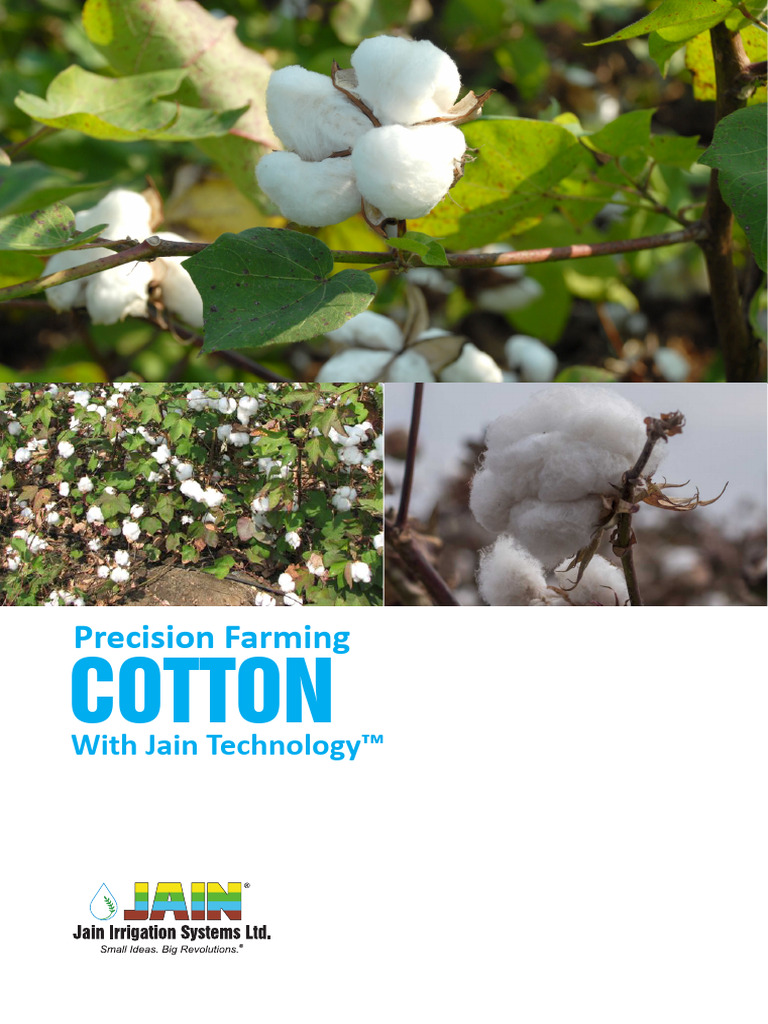 Cotton | PDF | Cotton | Sowing