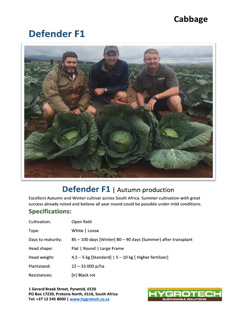 Defender | PDF