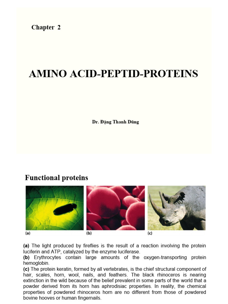 Bai 2 - Amino Acid-Peptide-Protein-Enzyme (Version 1) (Compatibility Mode) | PDF | Proteins ...