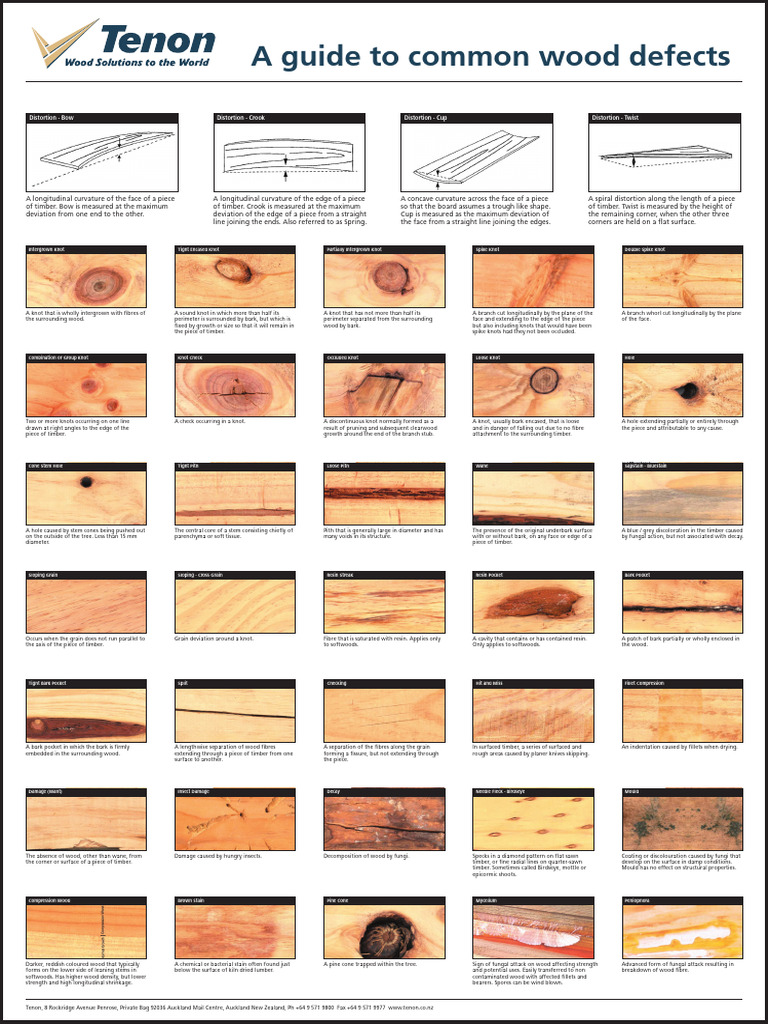 Tenon Wood Defects A1 Poster | PDF | Wood | Lumber