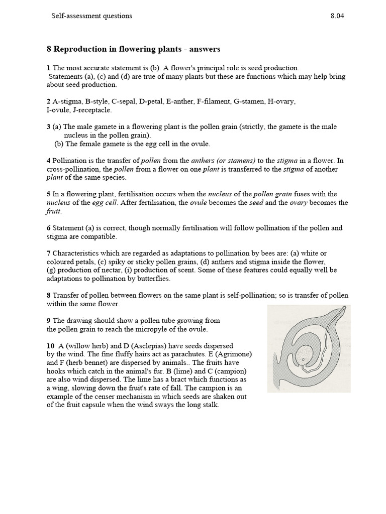 FORM 3 - Plant Reproduction Answers | PDF | Flowers | Pollination