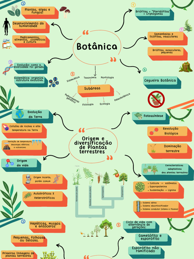 Mapa mental - Botânica | PDF | Plantas | Musgo